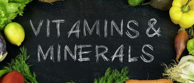 Orafti® - Pure Inulin Powder – Prebiotic supplement – Hellenia Healthfoods