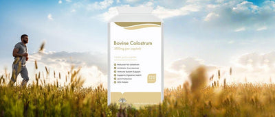 Orafti® - Pure Inulin Powder – Prebiotic supplement – Hellenia Healthfoods