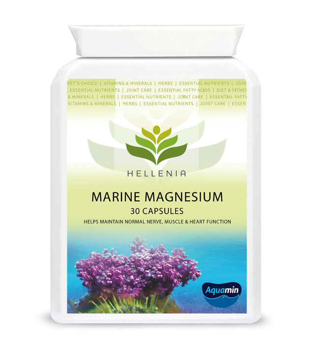 Marine Magnesium + Prebiotic - 30 Capsules – Hellenia Healthfoods